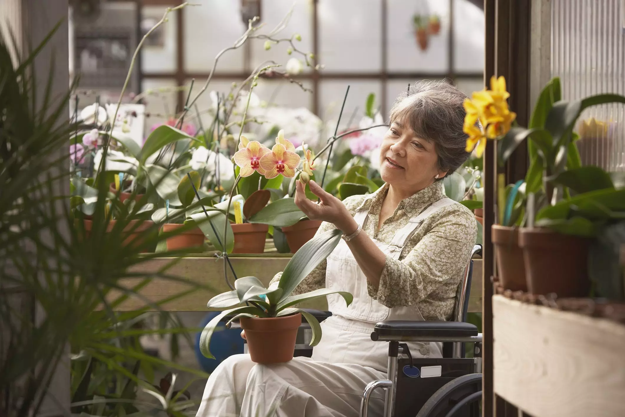 Apa Medicare Mbayar Kursi Roda?